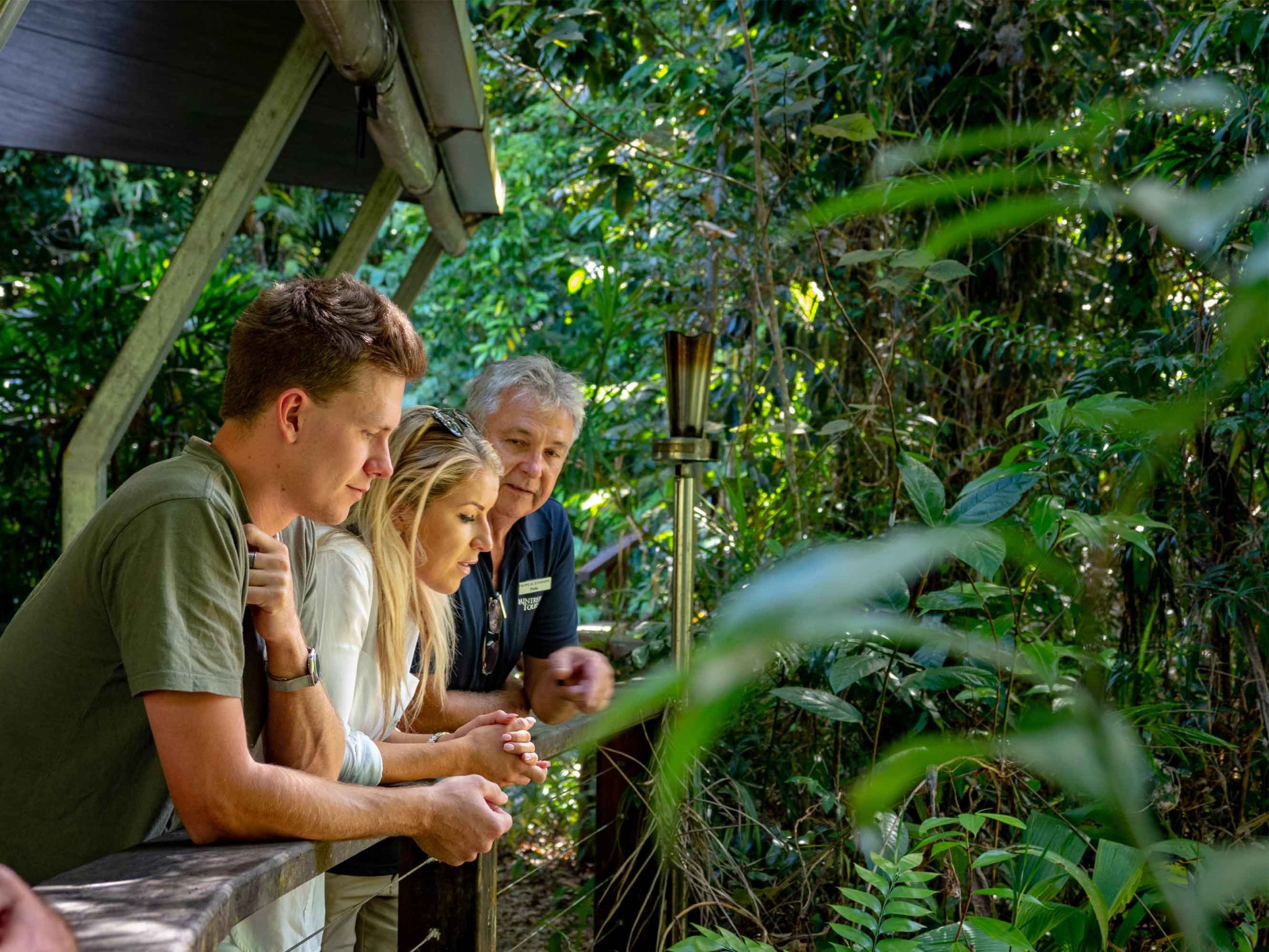 Daintree Rainforest Tours | Cape Tribulation | Mossman Gorge